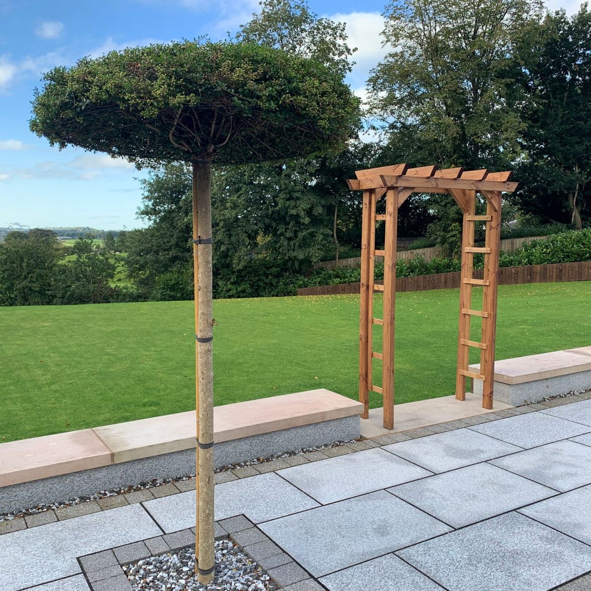 Companion Table – Timber Furniture